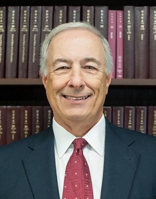 Robert G. Goodman | Palmisano & Goodman, P.A.